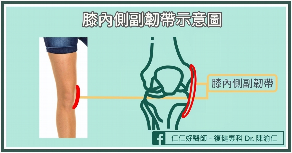 膝蓋韌帶受傷如何保養？復健科醫師親授「5招」在家就能做的復健法 蕃新聞